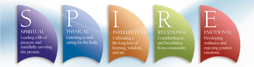 Wholebeing Institute